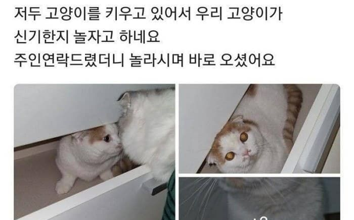 샴블즈의 pc와 모바일 연동성 개선 요구